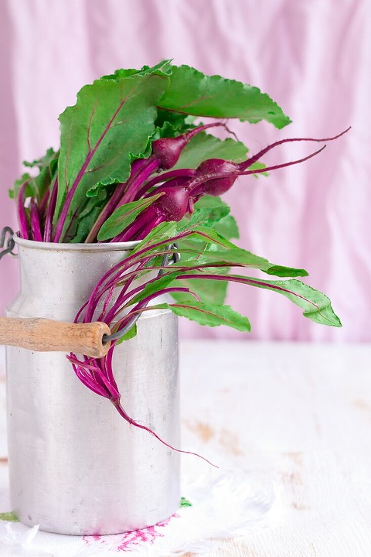 Pink Beetroot Feast – License Features – 12849229 House of Pictures