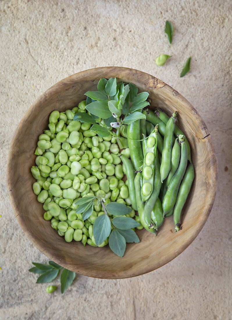 Summer Broad Beans Feast – License Features – 12883428 House of Pictures