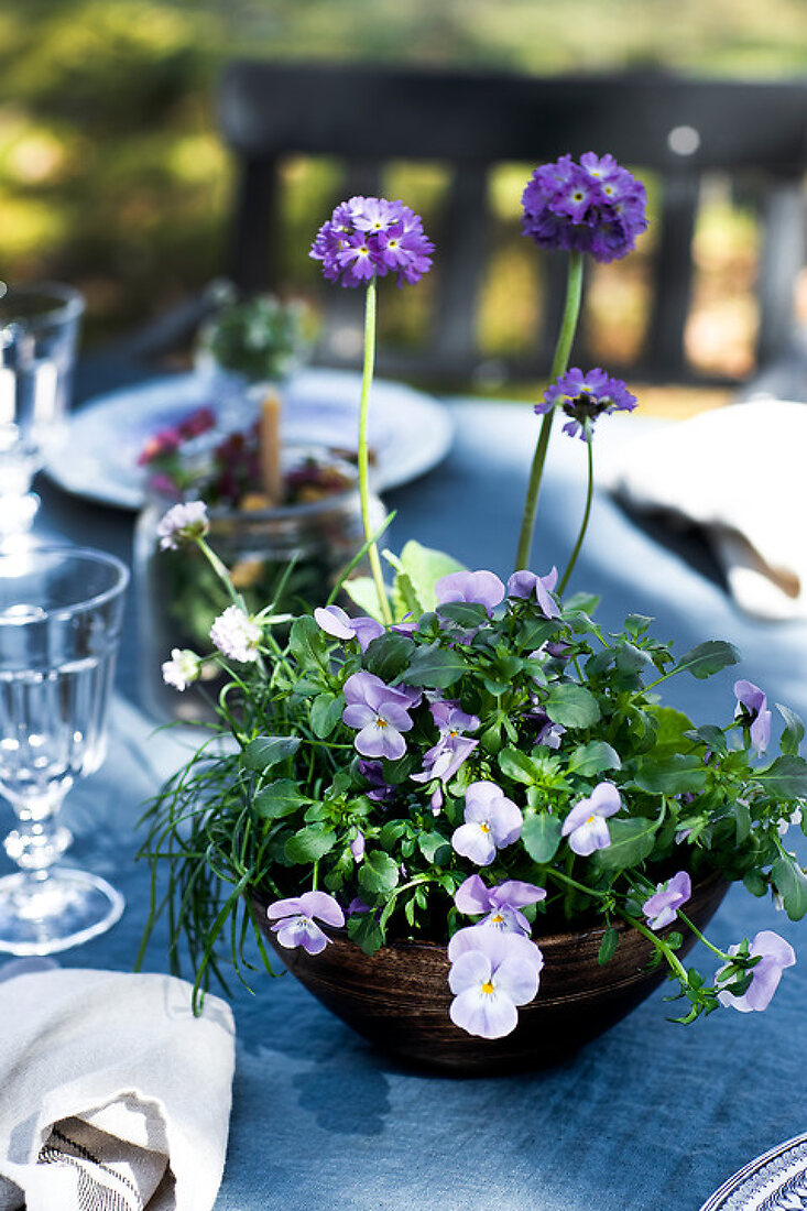 Charming Spring – License Features – 13206850 House of Pictures