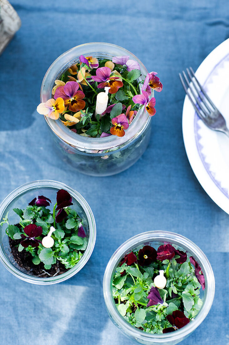 Charming Spring – License Features – 13206850 House of Pictures