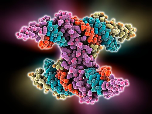 Rna Interferenz Bilder Science Photo Library