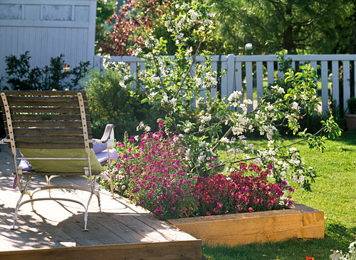 Inselbeet Bilder – Garten-Fotos kaufen Gartenbildagentur Friedrich Strauss
