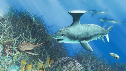 Dévonien Photos Science Photo Library