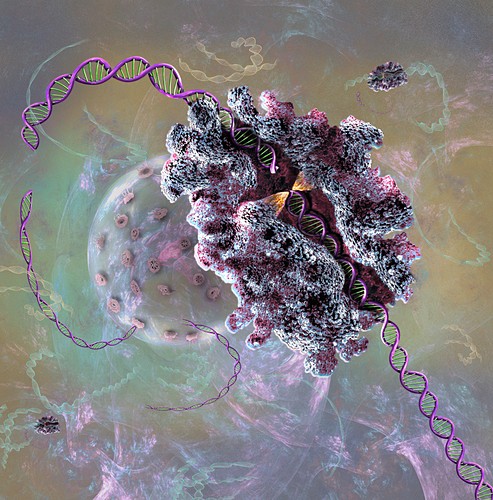 CRISPR Bilder Science Photo Library