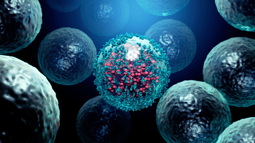 Viren Bilder Science Photo Library