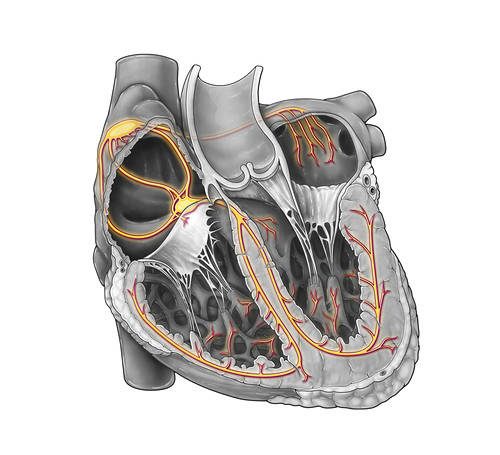 Conduction Photos Science Photo Library
