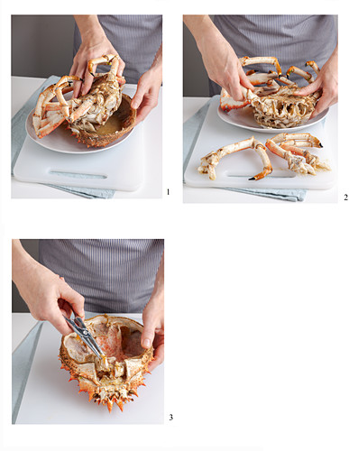 Meeresspinne Bilder – Food-Fotos kaufen StockFood