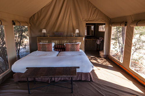 Kalahari Photos – License unique travel photos lookphotos