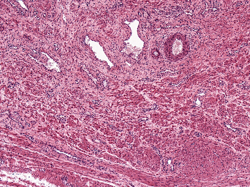 Vagin Photos Science Photo Library