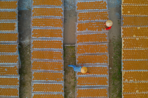 Trays Photos – License unique travel photos lookphotos