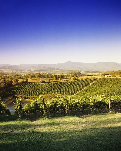 Coldstream Photos – License unique travel photos lookphotos