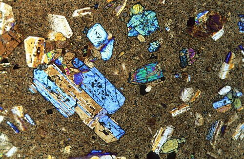 Microscope Photos lookphotos