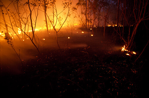 Firelight Photos – License unique travel photos lookphotos