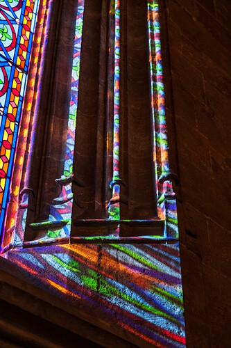 Sedum Photos – License unique travel photos lookphotos