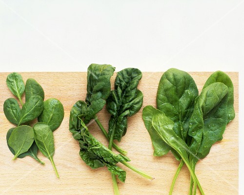 Three types of spinach – buy images – StockFood